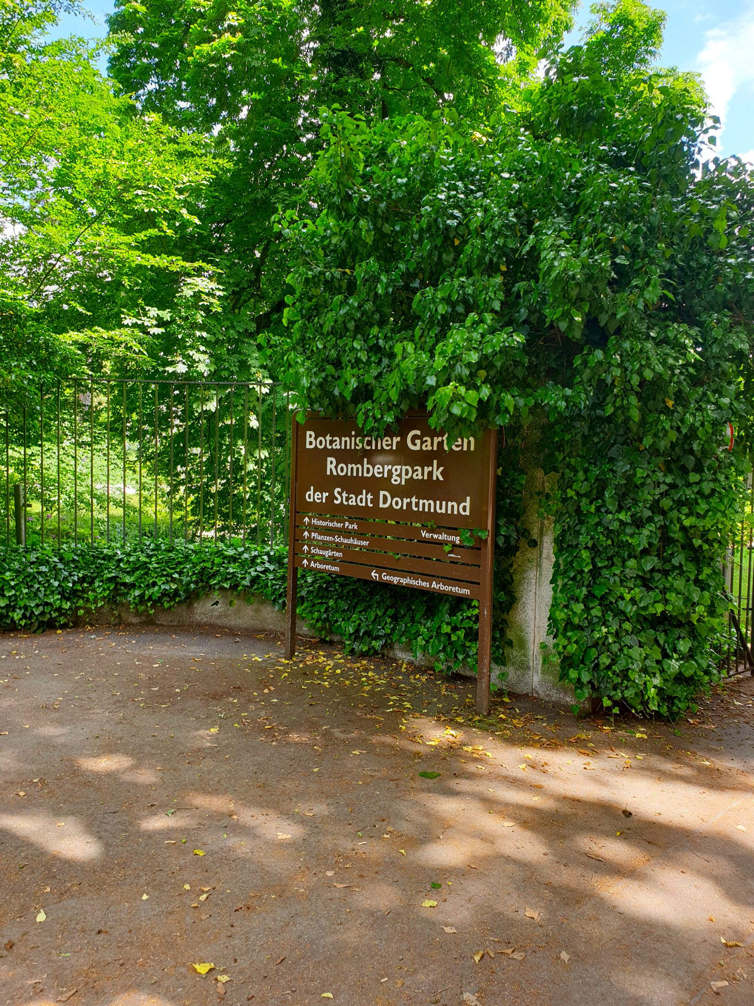 Auf geht es in den Rombergpark…